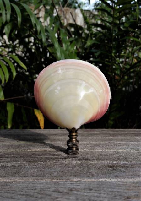 Large Sea Shell Lamp Finial, Pink Pearl by Etsy | ufurnish.com