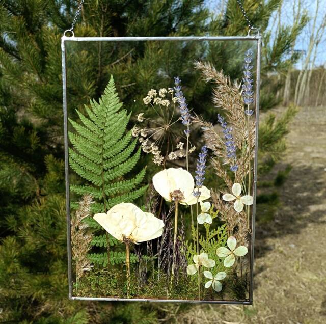 Large Pressed Flower Frame, Real Botanicals, Wall Decor, Botanical Art ...