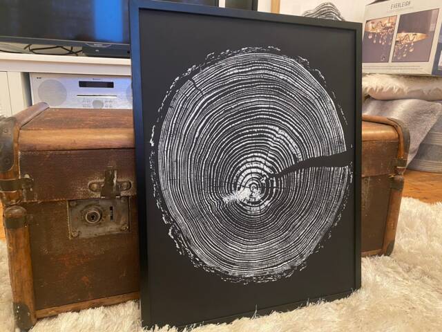 Tree Ring Print, English Larch, Larch Large Woodcut Print, Stump Art ...