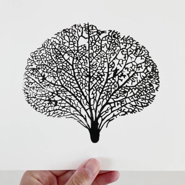 Skeleton Of A Leaf, Botanical Lino Print by Etsy | ufurnish.com