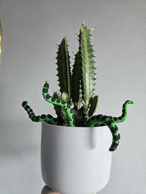 Octopus Plant Pot Decoration.pot Accessory.plant Pet.quirky.unusual ...