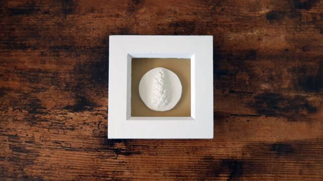 Botanical Bas Relief Plaster Cast Tiles Box Frame - Pine Cone by Etsy ...