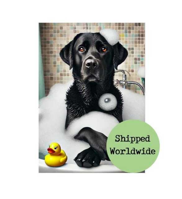 Black Labrador in Bath Print - Lab Bathroom Wall Art Dog Bubble Duck ...