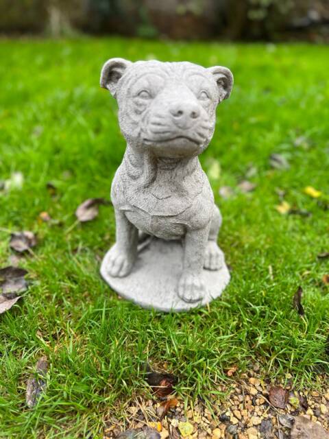 Stone/Concrete Staffordshire Bull Terrier Staffy Garden Ornament Statue ...