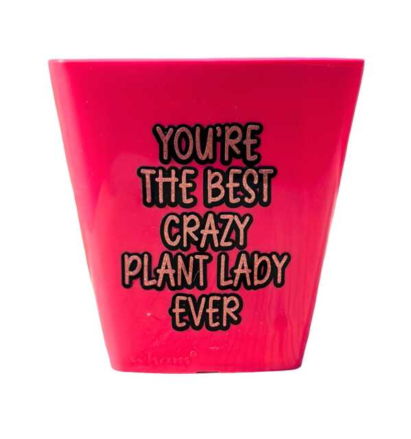 Funny Novelty Plastic Square Plant Pot - Unusual Gift Planter Flower ...
