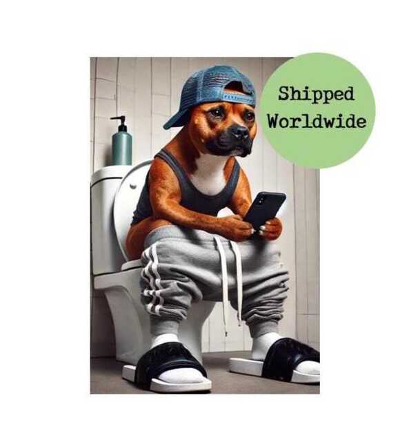 Staffy Sitting On Toilet - Very Cool Dog On Loo Animal Phone Funny ...