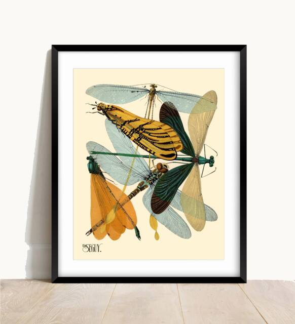 Ea Seguy Insect Print Art Deco Dragonfly Poster by Etsy | ufurnish.com
