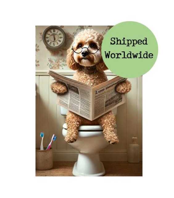 Cute Cavapoo in Glasses On Toilet Reading Newspaper Print Cavadoodle ...
