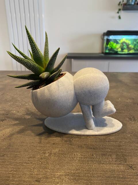 Wee Jimmy Crow Pose Yoga Crow Pose Yogi Succulent Plant Pot - Ships ...
