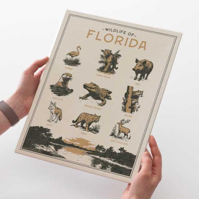 Florida Wildlife Wall Art Print - Vintage Poster Design, Archival ...