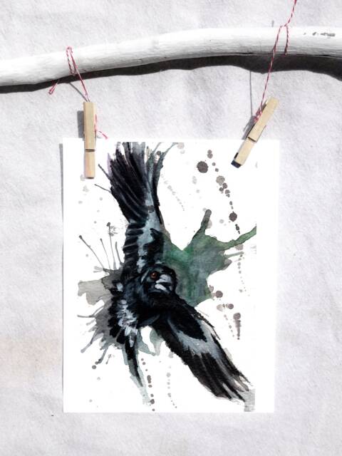 Australian Magpie Art Print - Bird Unique Wall Art Gifts Bird Painting ...