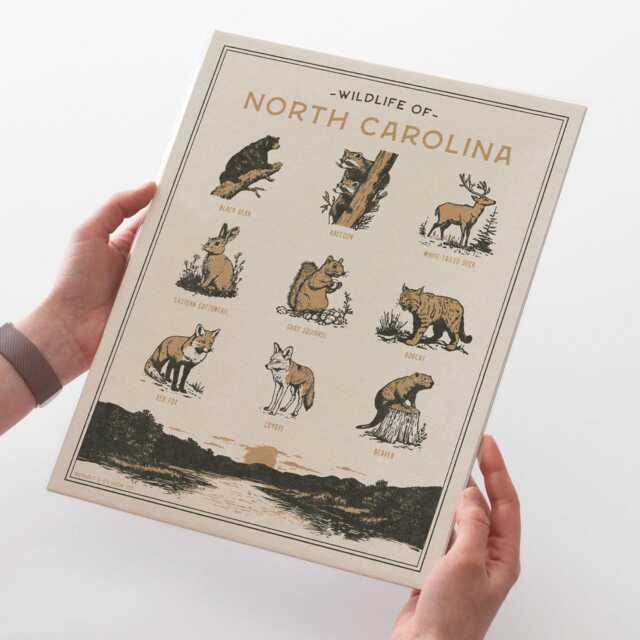 North Carolina Wildlife Wall Art Print - Vintage Animal Poster Design ...