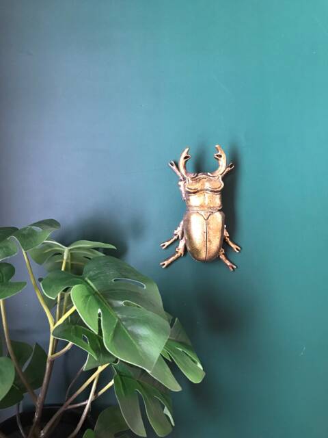 Small Stag Beetle Wall Art. Insect D??cor. Decorative Aged Gold Finish ...