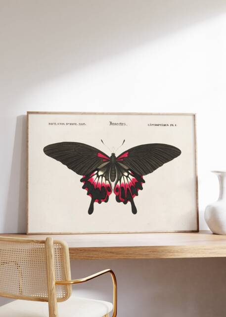 Vintage Red Butterfly Print, Butterflies Wall Art, Canvas Victorian ...