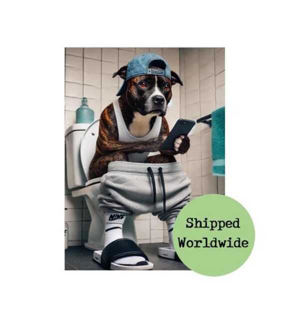 Brindle Staffy Sitting On Toilet - Very Cool Dog Loo Animal Phone Funny ...