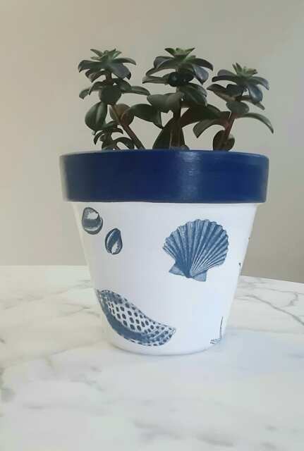 Beach/Coastal Clay Pot-6 Inch, Terracotta Pot, Ocean Flower Beach ...