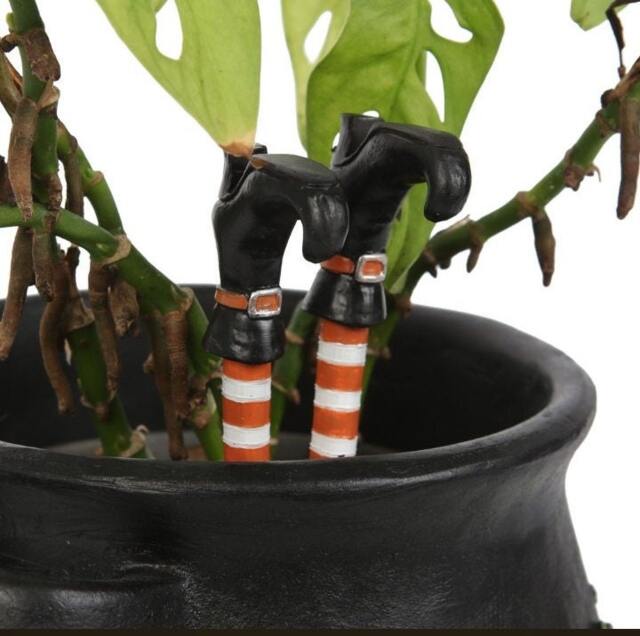 Witch Legs Plant Pot Decoration, Witches by Etsy | ufurnish.com