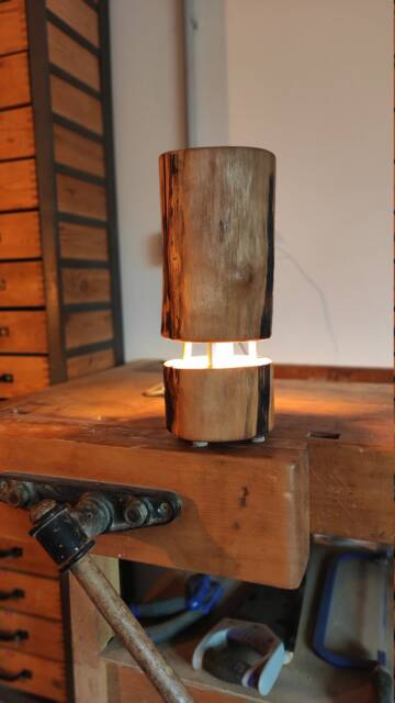 Rustic Lighting, Trunk Lamp, Tree Table Lamp With Led, Farmhouse ...
