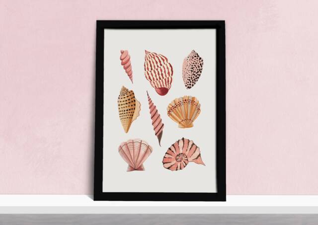 Seashells Art Print - Coastal Beach Sea Shells Poster Watercolour Illustration Artists A5, A4 Or ...