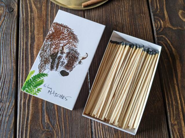 Maxi Long American Bison Matches, Decorative Box, Matchsticks, Match ...