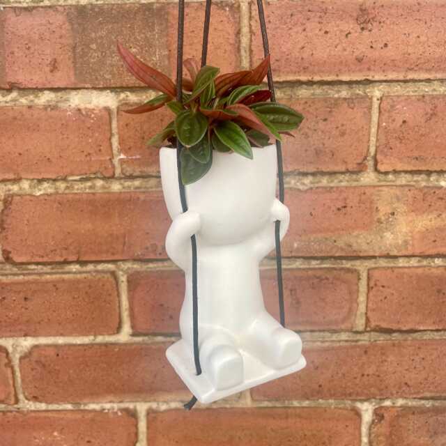Indoor Planter Ceramic Swing Pot by Etsy | ufurnish.com