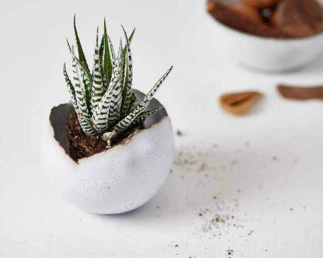 Small Shiny White Ceramic Planter Pot, Handmade Round Eclectic Pottery ...