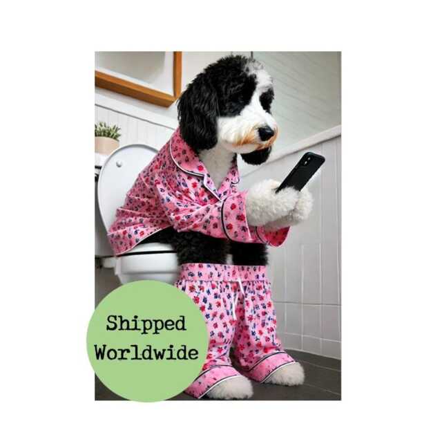 Black & White Bernedoodle Toilet Print Girl Female Dog Cell Phone ...