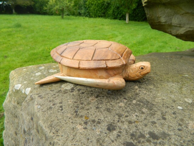 Hand Carved Wooden Turtle - Box by Etsy | ufurnish.com