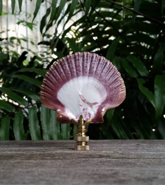 Lamp Finial, Large Sea Shell, Cordovan by Etsy | ufurnish.com