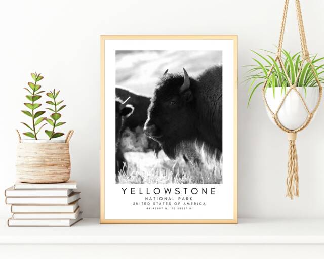 Yellowstone National Park Bison Print Minimalist Wall Art by Etsy ...