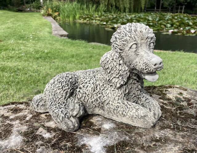 Reconstituted Stone Garden Lying Poodle Dog Puppy Statue by Etsy ...