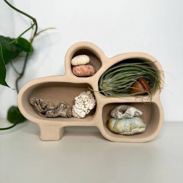 Cement Curio Shelf in Sand - Nature Shelf, Wall Display Case, Crystal ...