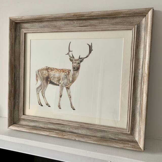 Fallow Deer Original Colour Pencil Portrait Drawing Buck Wildlife ...