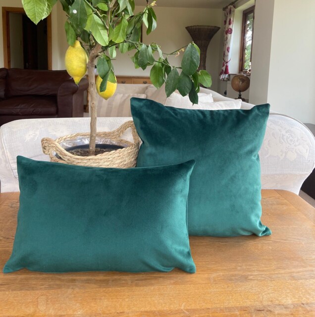 Emerald Green Plush Velvet Cushions in Square & Oblong - Emerald Green ...