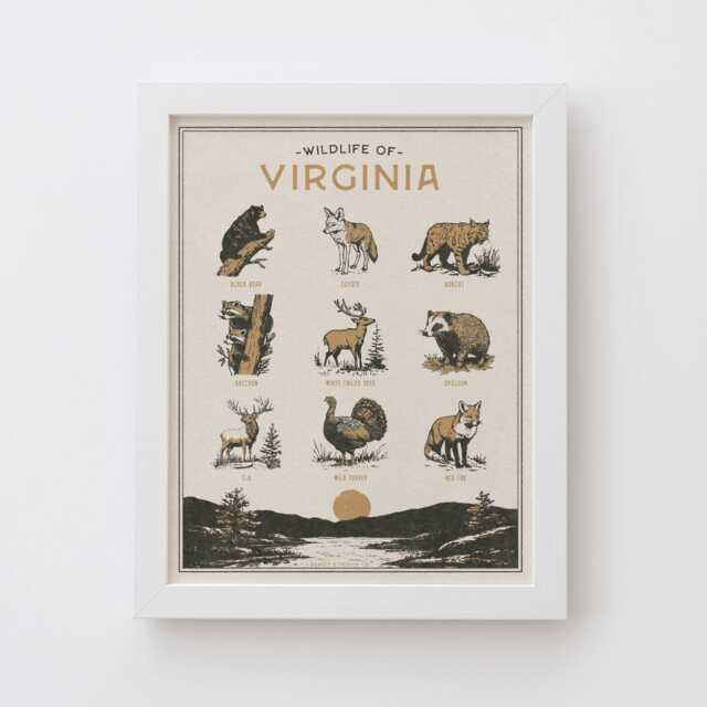 Virginia Wildlife Wall Art Print - Vintage Animal Poster Design ...