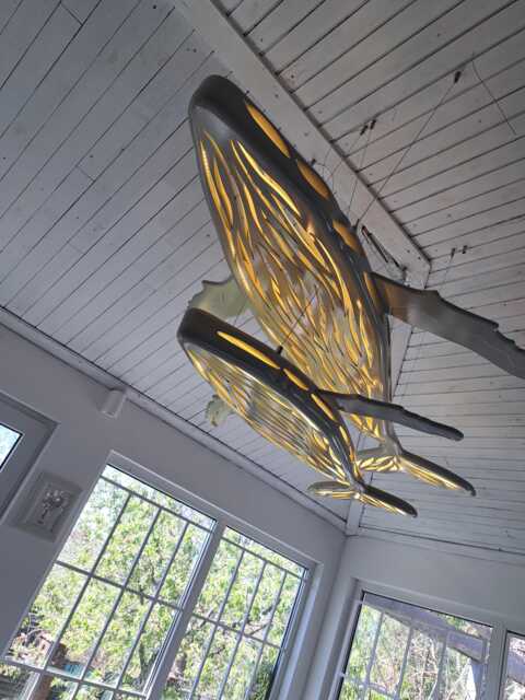 Whale & Baby Ceiling Light With Illuminated Body - 3D Ocean Theme Led ...