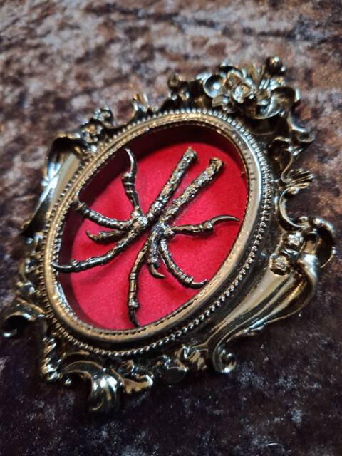 Gothic Unusual Crow Raven Feet in Vintage Style Ornate Frame On Velvet ...