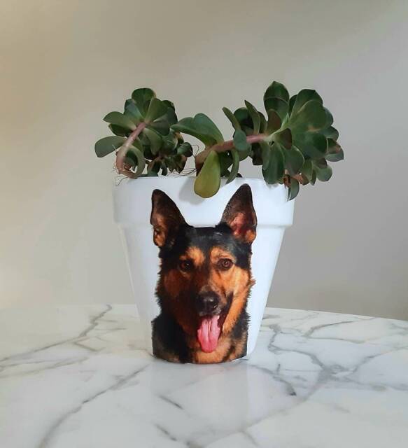 German Shepherd Clay Pot-6 Inch, Personalized Dog Pot, Gift, Custom ...