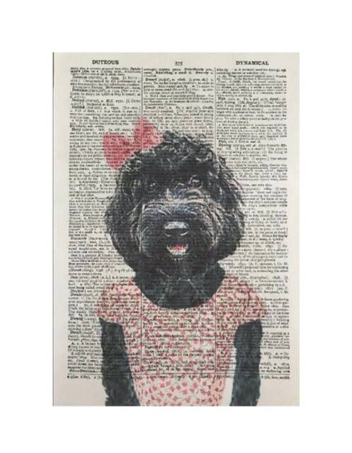 Cockapoo Vintage Dictionary Page Print - Cockerpoo Picture Dog Wall Art ...