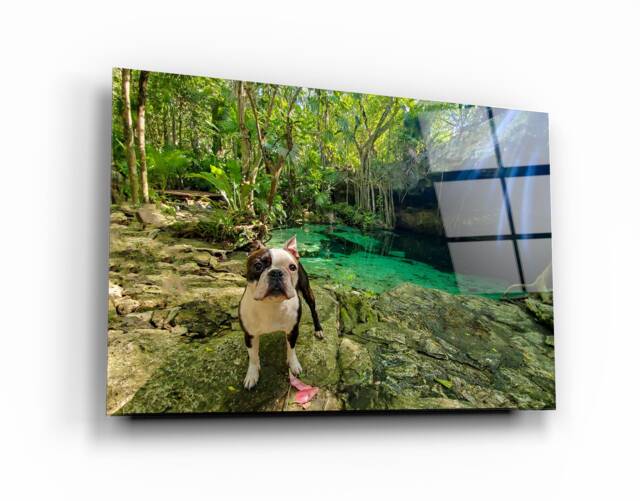 Custom Digital Prints-Wall Art Glass Printing-Tempered Print Picture ...