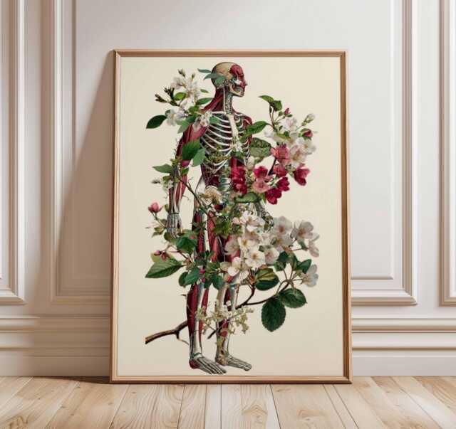 Human Anatomy Poster, Body Posters, Wall Prints, Educational Medical ...