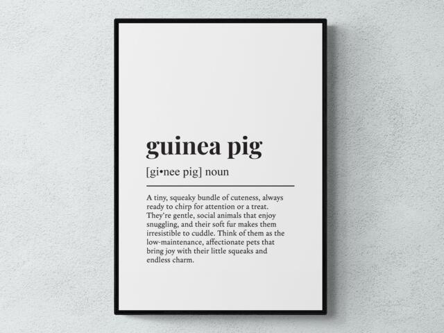 Guinea Pig Funny Definition Pet Gift Wall Art Print by Etsy | ufurnish.com