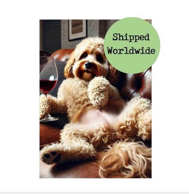 Cavapoo Laying On Sofa Drinking Red Wine Print - Funny Dog Bar Pub ...
