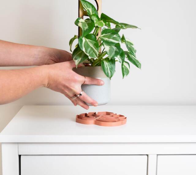 Sausr - Leaf-Shaped Pot Saucer Drip Tray For Houseplants Humidity by ...