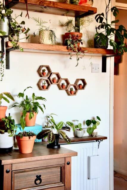Set Of 6 Hexies - Miniature Hexagon Shelves Geometric Shelf Plant ...