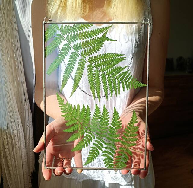stained Glass Pressed Fern Frame Handmade Hanging Decor by Etsy ...