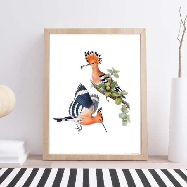 Din A4 Art Print Without Frame - Hoopoe Tree Hop Bird Nature Picture ...