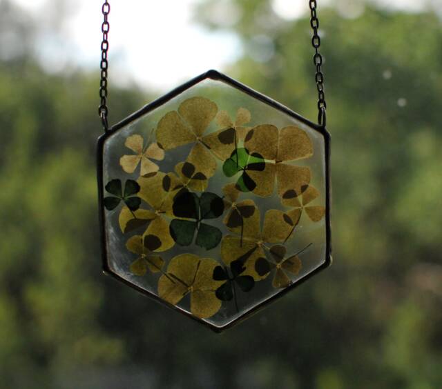 Four Leaf Clover, Lucky Clover Art, Pressed Glass Wall Decor, Stained ...