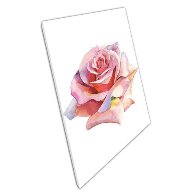 Soft Pink Rose Botanical Canvas Art Print Floral Illustration For Home ...