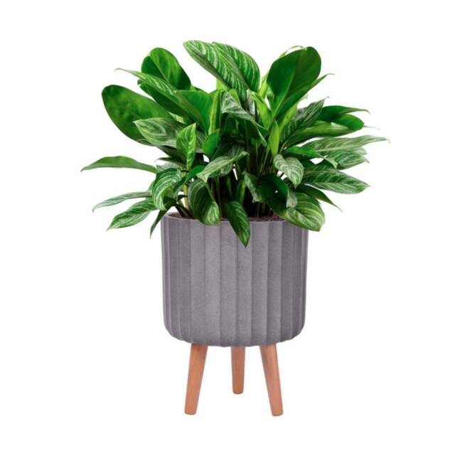 Handmade Ribbed Grey Concrete Pot With Legs by Etsy | ufurnish.com